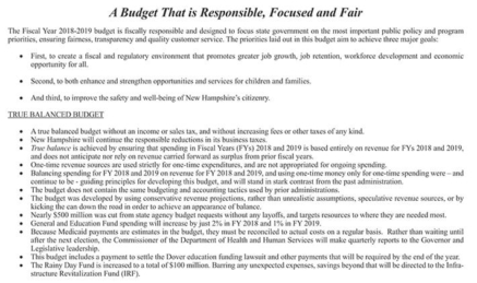 20 Best Budget Summary Examples (PDF)