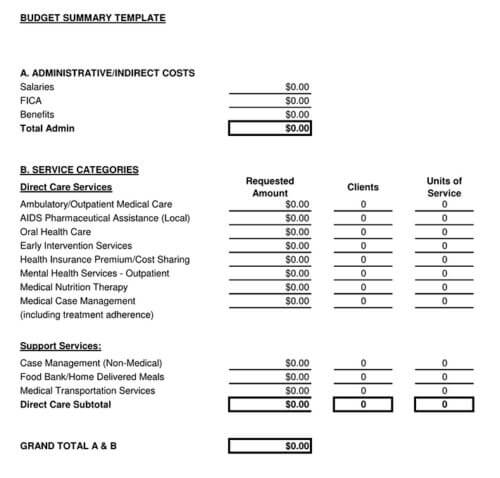20 Best Budget Summary Examples (PDF)