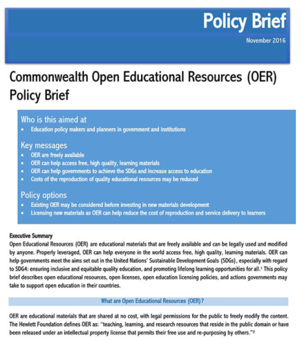 22 Free Policy Brief Templates & Examples