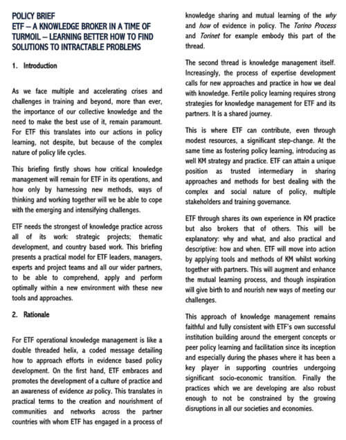 22 Free Policy Brief Templates & Examples (How to Write)