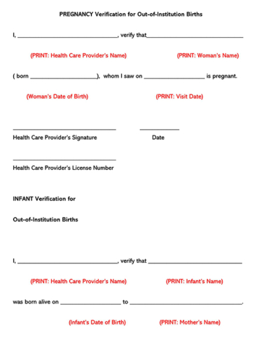 Free Pregnancy Verification Forms (Word) - Everything to Know