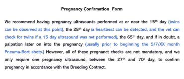 Free Pregnancy Verification Forms (Word) - Everything to Know