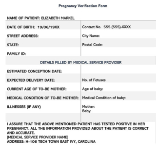 Free Pregnancy Verification Forms (Word) - Everything to Know