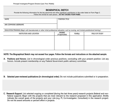 30 Personal Biography Examples & Free Templates