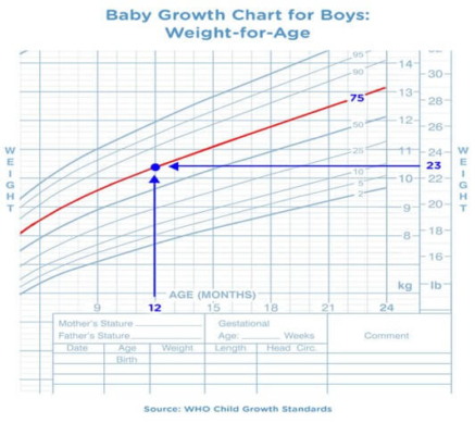 Free Baby Growth Charts (Weight and Height): 1 to 36 Months