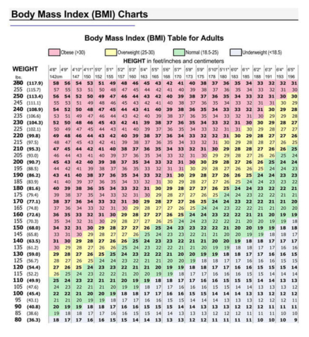 FREE Printable Body Mass Index (BMI) Charts | Calculate BMI