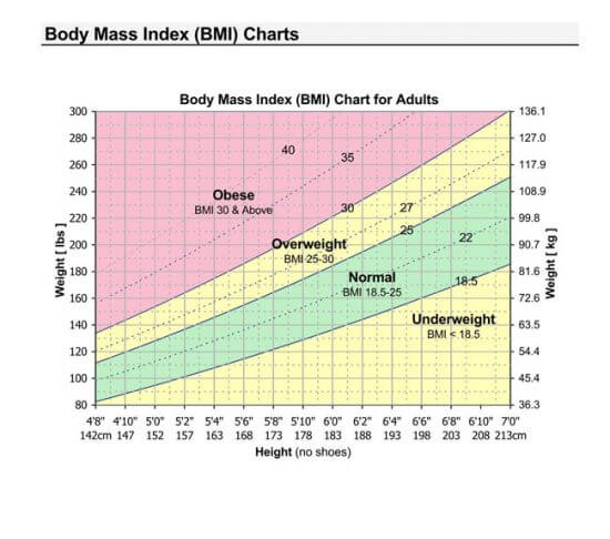 FREE Printable Body Mass Index (BMI) Charts | Calculate BMI