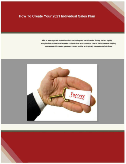 23 Free Sales Plan Templates | How to Create - Examples