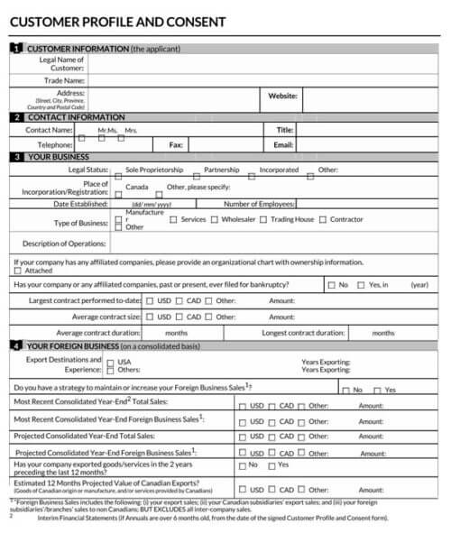 27 Free Customer Profile Templates [How to Create] + Tips