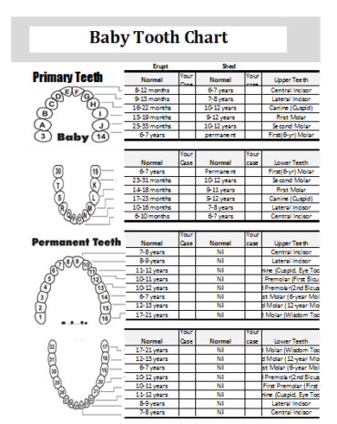 Printable Baby Teething Charts | Teething Order, Timeline