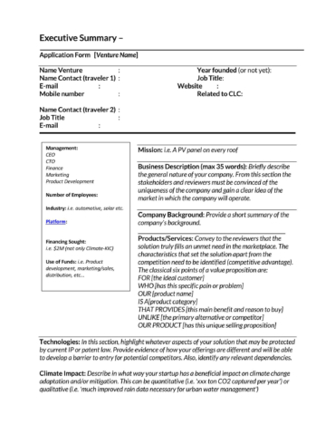 35 Free Executive Summary Templates and Examples