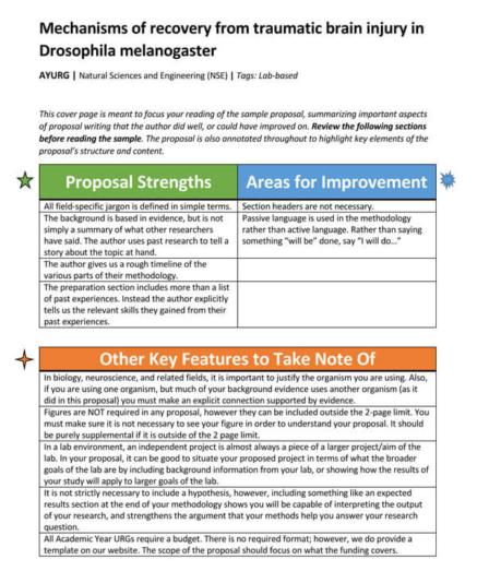 35 Successful Grant Proposal Examples (How to Write)