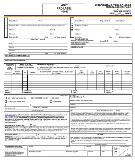 32 Free Bill of Lading Forms and Templates