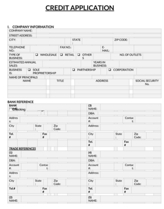 40 Free Credit Application Forms and Samples