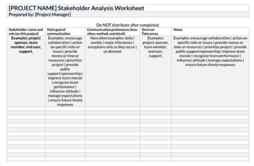 63 Free Stakeholder Analysis Templates | Word - Excel