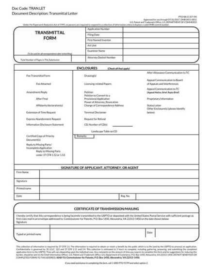 Transmittal Letter: Format (38 Examples & Samples)
