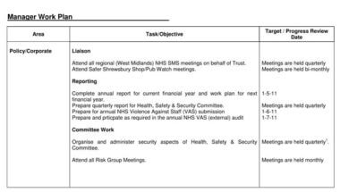 25 Effective Work Plan Templates | Excel - Word