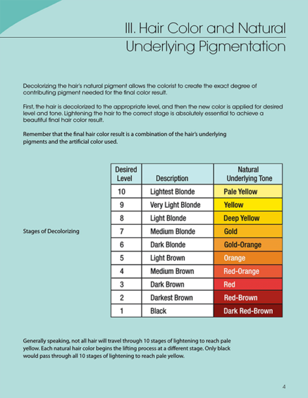 24 Redken Shades EQ Color Charts - PDF