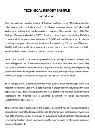 26 Best Technical Report Examples, Format, and Templates