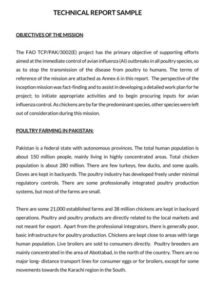 26 Best Technical Report Examples, Format, and Templates
