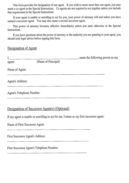 Free Hawaii Power of Attorney Forms | Word, PDF