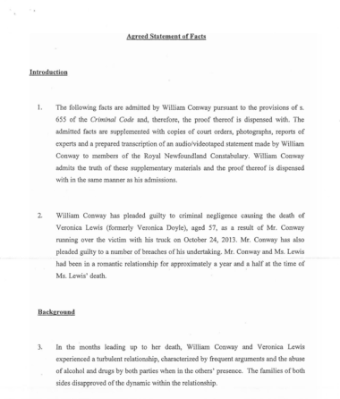 How to Write Your Own Legal Statement of Facts (with Samples)