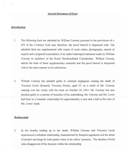 How to Write Your Own Legal Statement of Facts (with Samples)