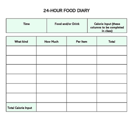 Free Food Log Templates (Track your Diet) | Excel, Word