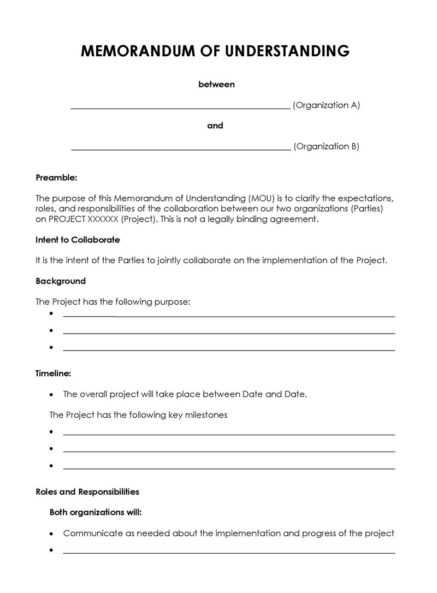 24 Memorandum of Understanding Templates - Format