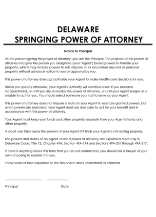 Free Delaware Power of Attorney (POA) Forms - PDF | Word