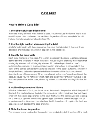 22 Case Brief Templates - Format - Examples