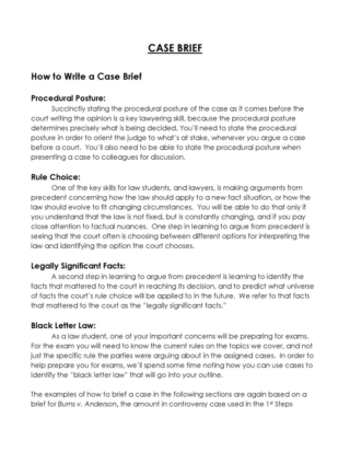 22 Case Brief Templates - Format - Examples
