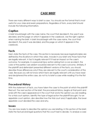 22 Case Brief Templates - Format - Examples
