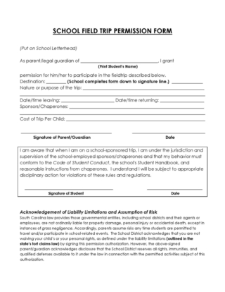 35 Free Permission Slip Templates (Examples) - Word | PDF