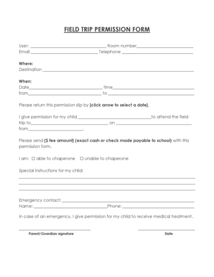 35 Free Permission Slip Templates (Examples) - Word | PDF