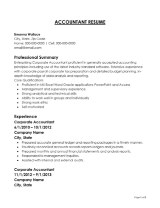 22 Accountant Resume Examples (Skills, Objective & More)