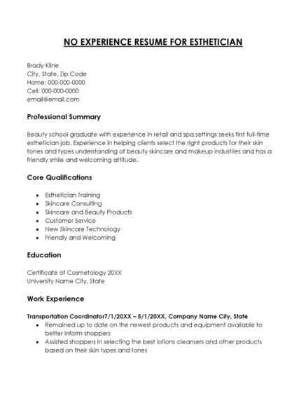 16 Free No Experience Resume Templates