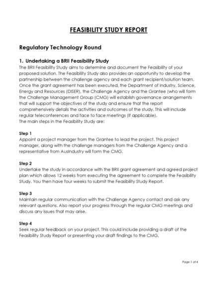 Free Feasibility Study Templates for Word