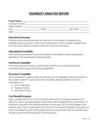 Free Feasibility Study Templates for Word