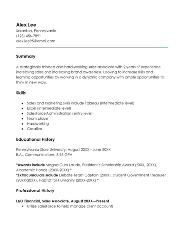Hybrid/Combination Resume Format (18 Examples)