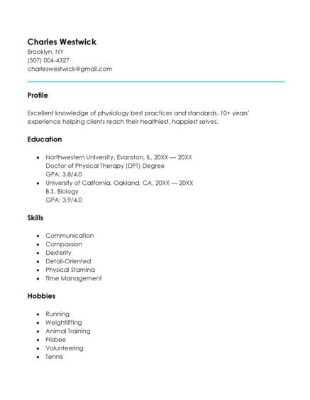 Hybrid/Combination Resume Format (18 Examples)