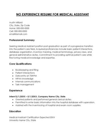 16 Free No Experience Resume Templates
