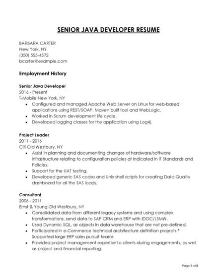 22 Best Examples for Java Developer Resume (Expert Tips)