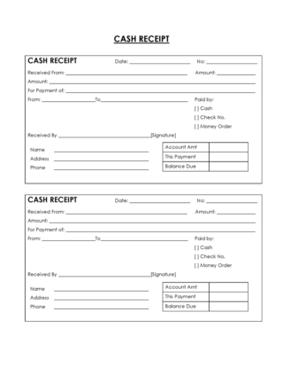 16 Cash Payment Receipt Templates > 100% FREE