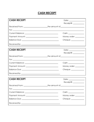 16 Cash Payment Receipt Templates > 100% FREE