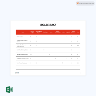 Free RACI Matrix Templates in Excel