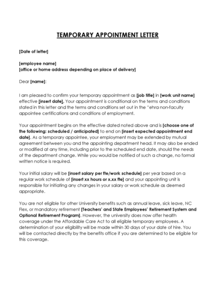 Temporary Appointment Letter Samples (Writing Tips)