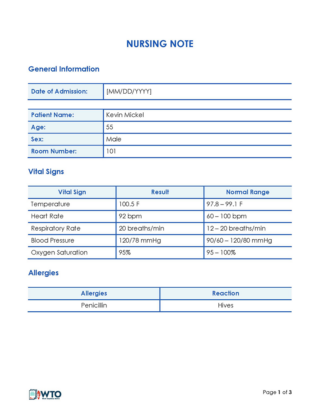Nursing Notes: How to Write (10 Best Examples)