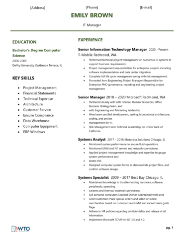 IT Manager Resume Examples [12 Free Templates]