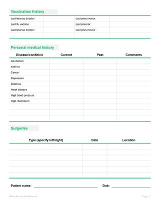 6 Free Health History (Medical) Forms | Word - Google Docs